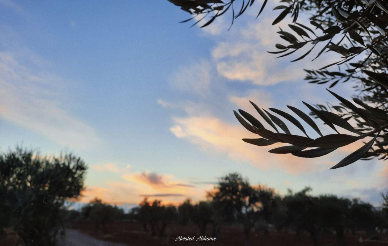 Pride and Self Esteem | IslamNode